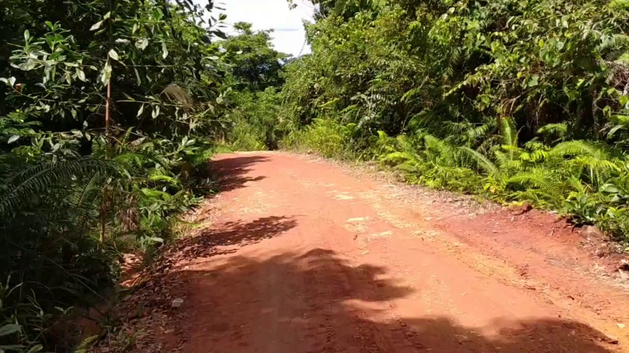 WISATA DANAU LAET KAB. SANGGAU KALIMANTAN BARAT - YouTube