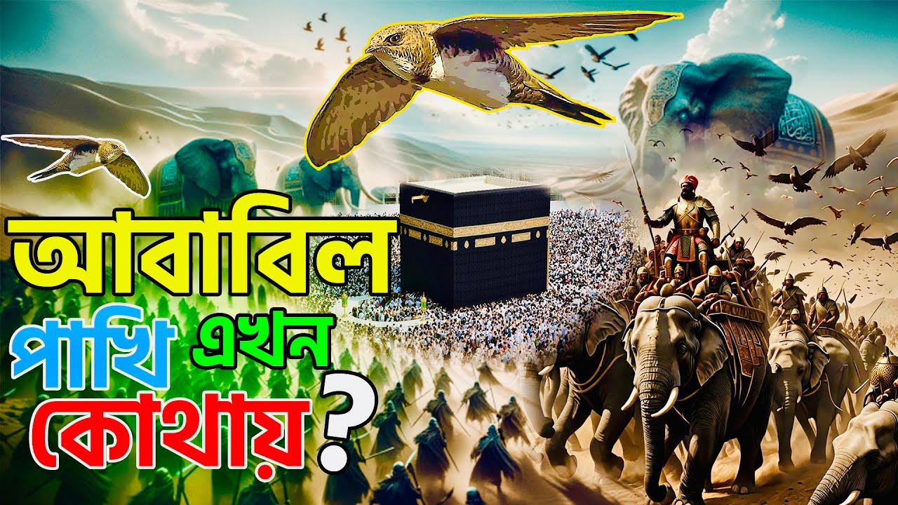 কুরআনে বর্ণিত আবাবিল পাখি কোন পাখি? Surah Al-Fil Explained | Ababil ...