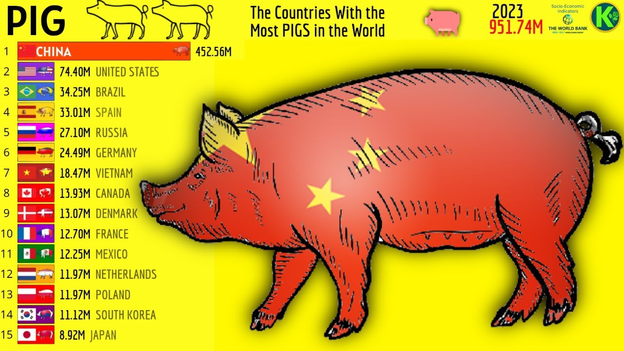 The Countries With the Most PIGS in the World - YouTube