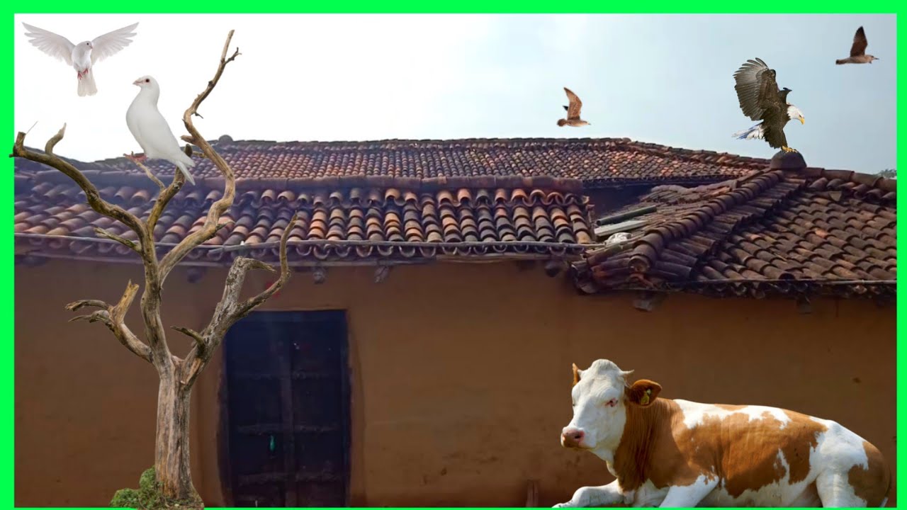 Traditional Village Life Of Jharkhand | Mitti Ke Ghar | Clay Ka Ghar ...