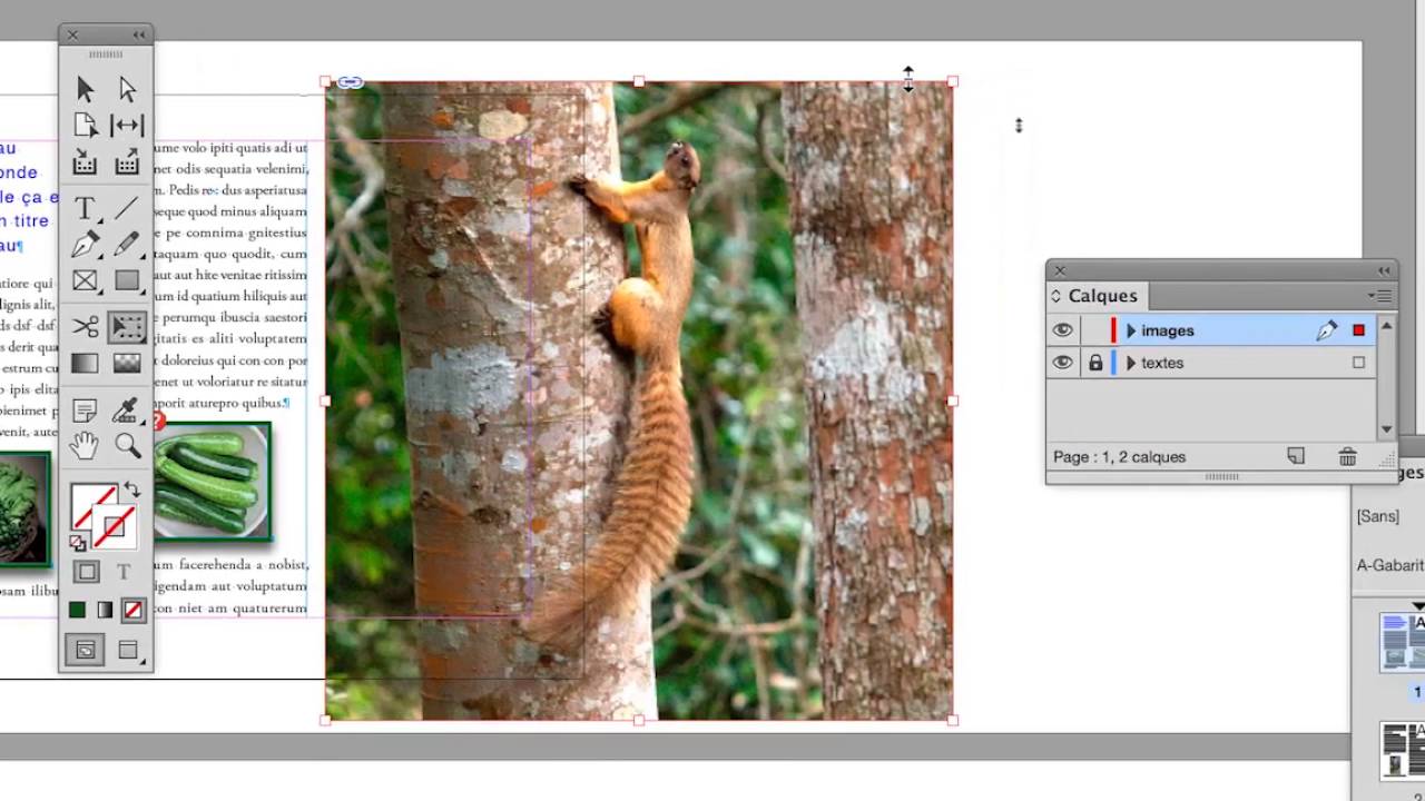 ID 2016 mars partie 071 Adobe InDesign Thierry Dambermont cours 4 MEP ...