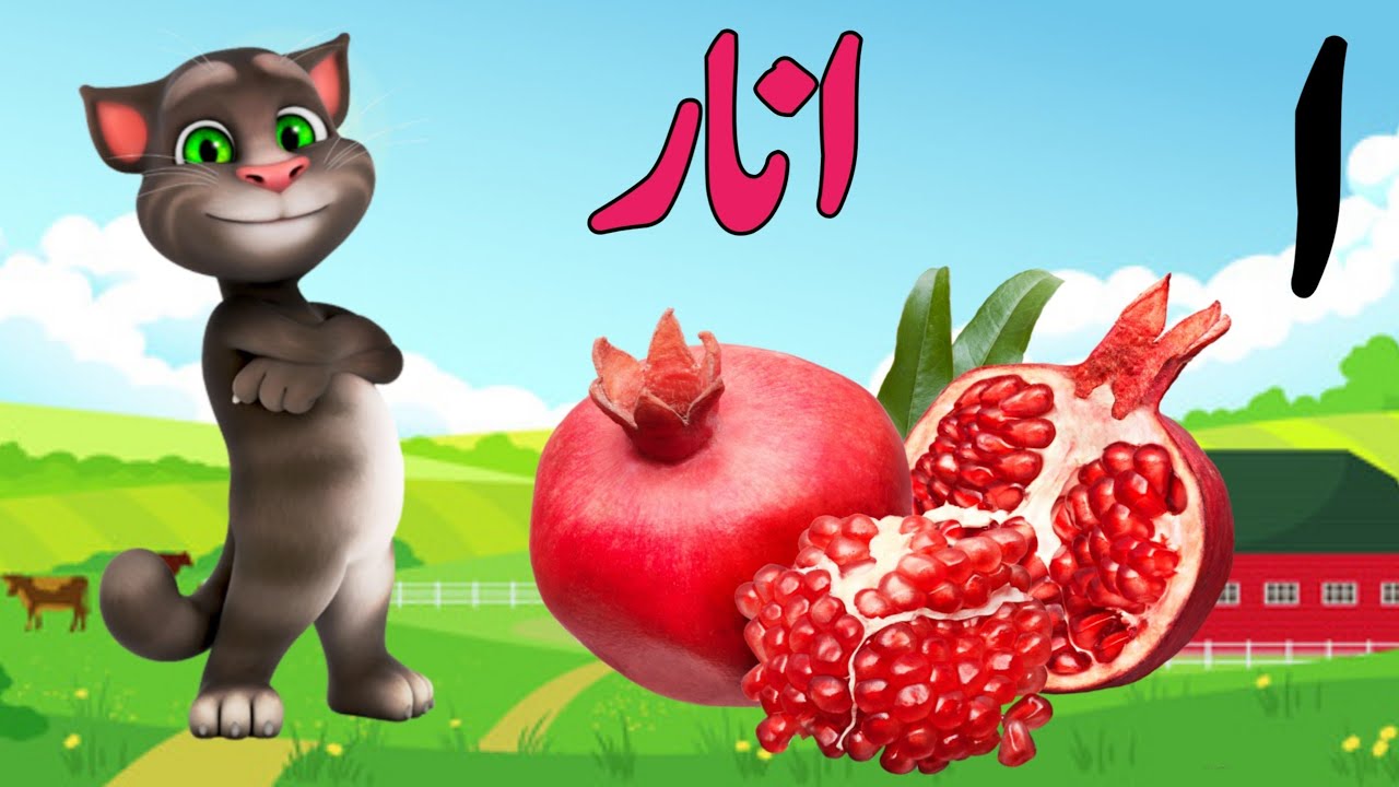 Cartoon Video,Teaching Letter Sounds,Cartoons,Learn Urdu Alphabet Easy ...