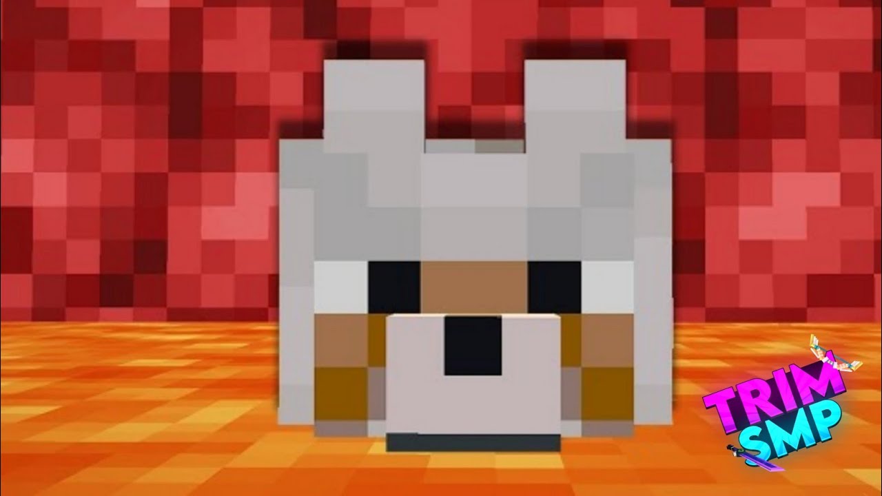 They killed my dog !! in this Minecraft smp…… - YouTube