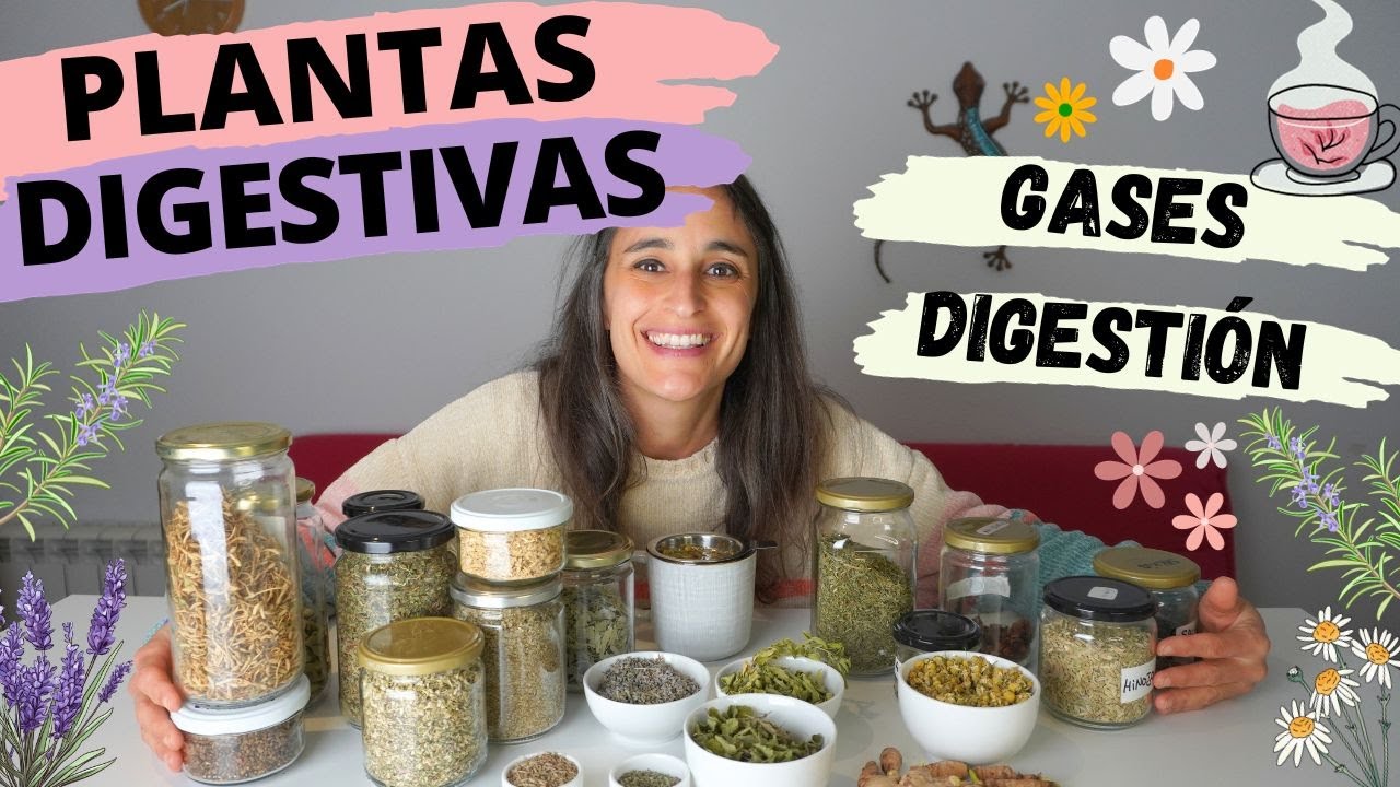🌼 PLANTAS DIGESTIVAS para eliminar gases y depurativas - Hierbas ...