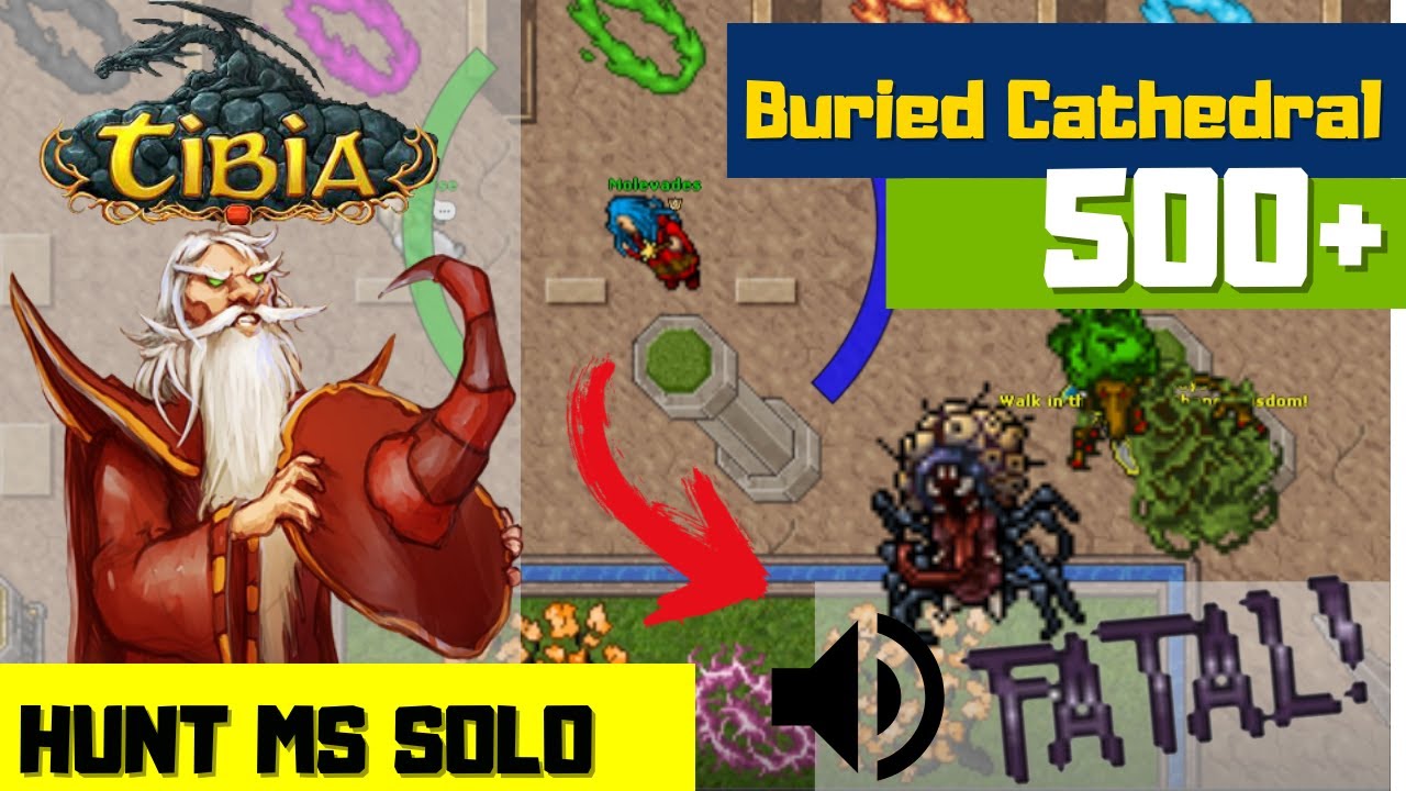 TIBIA MS HUNT SOLO - BURIED CATHEDRAL 500+ - YouTube