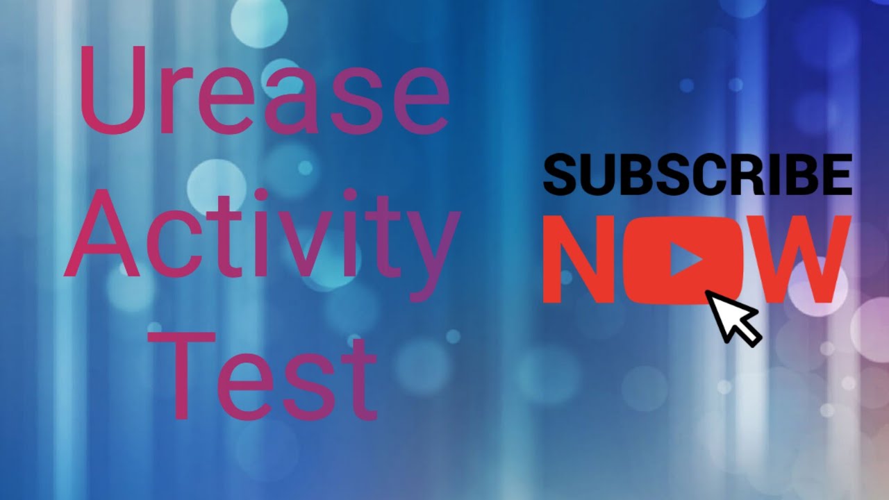 | UREASE ACTIVITY TEST | - YouTube