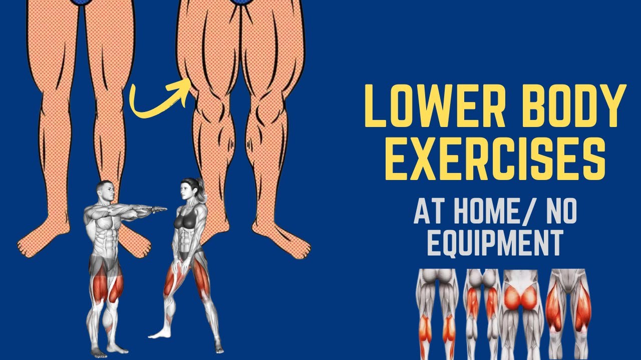 Lower Body Workouts At Home No Equipment at Ilene Haase blog