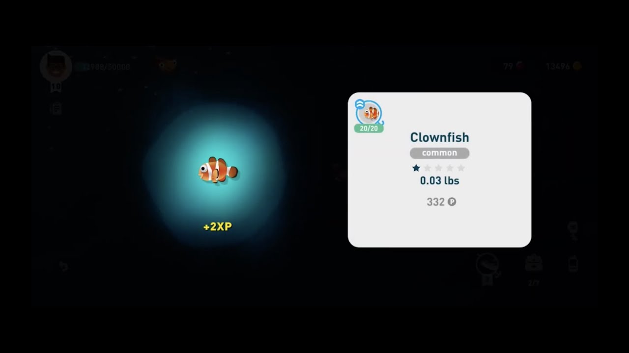 Clownfish Location - Creatures of the Deep - YouTube