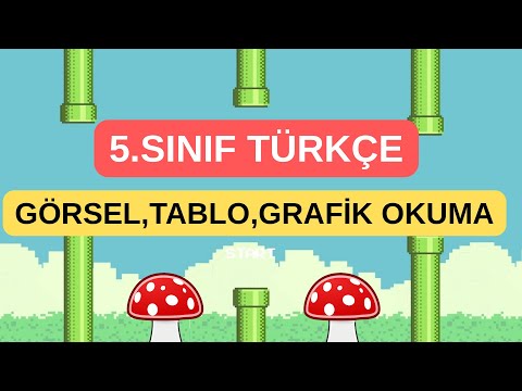 5. Sınıf Türkçe Görsel, Tablo, Grafik Okuma