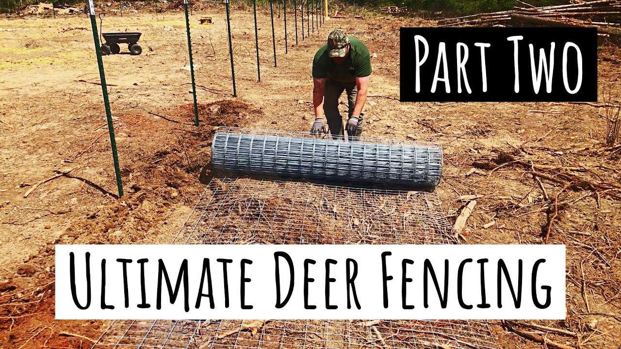 Installing the Ultimate Deer Proof Chicken Moat Garden Fence Part Two ...