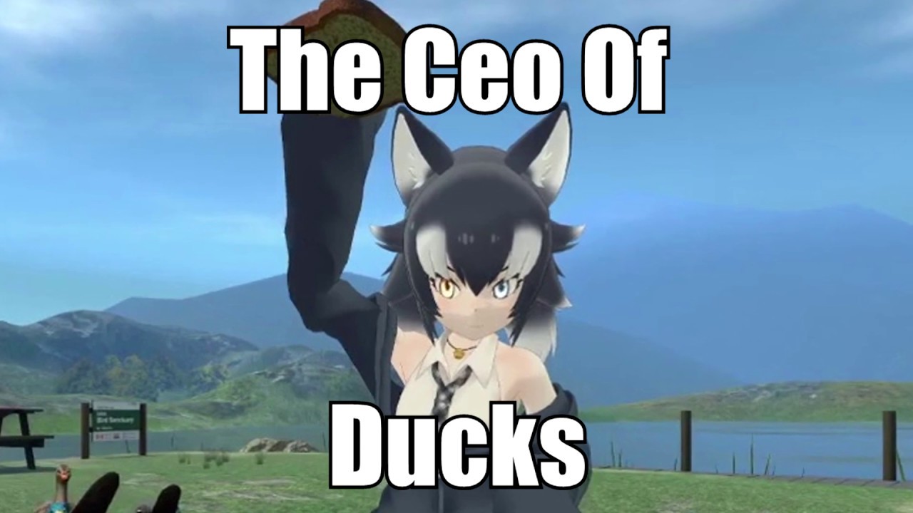 The Ceo Of Duck - YouTube