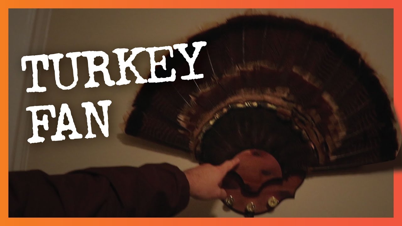 How To Dry A Turkey Fan YouTube how-to-dry-a-turkey-fan-youtube