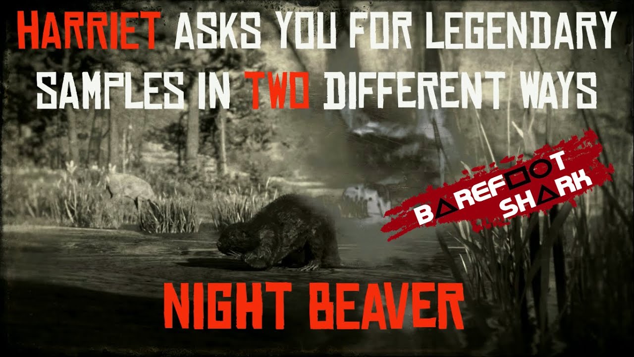 Night Beaver || Harriet asks you for Legendary Samples in 2 creative ...