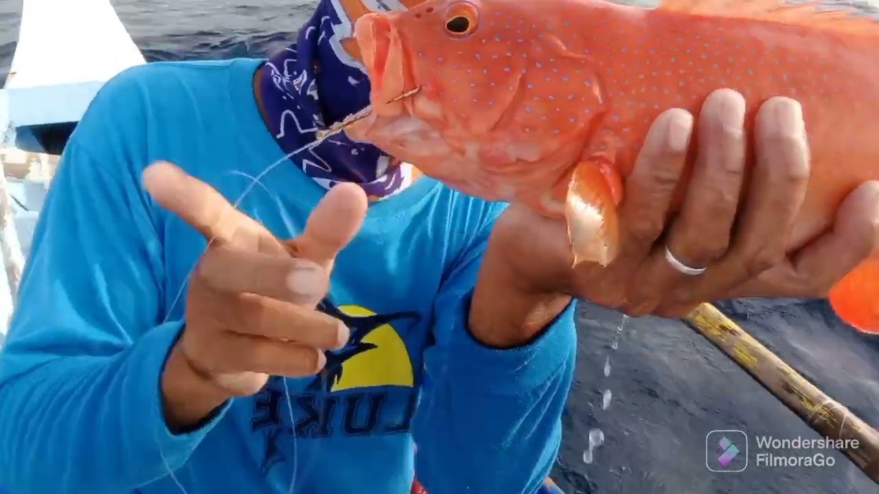 boya boya fishing, catching alangulan at suno,🐠 - YouTube