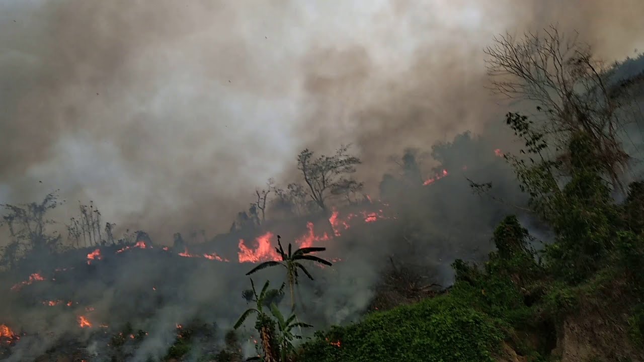 Chakma JHUM CULTIVATION in CADC, MIZORAM 2018 Part 1 - YouTube