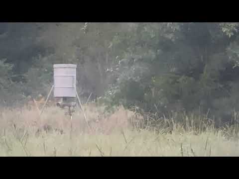 Let The Search Begin... - YouTube