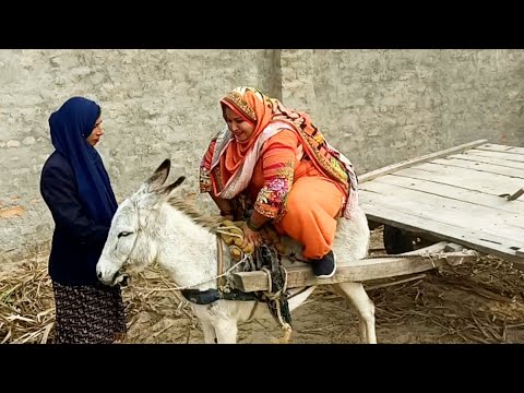 Desi Kudi Ki Anokhi Donkey Cart Riding|Pakistani Village Life