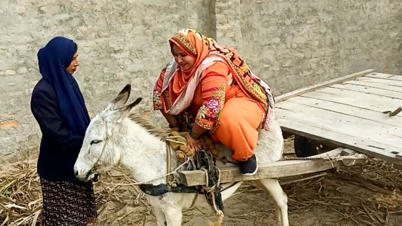 Desi Kudi Ki Anokhi Donkey Cart Riding|Pakistani Village Life - YouTube