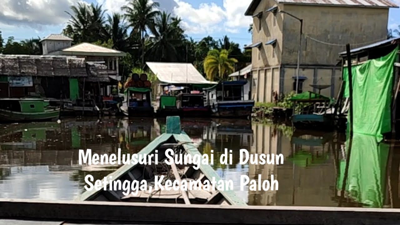 Survei spot mancing di sungai paloh kabupaten sambas kalimantan barat ...