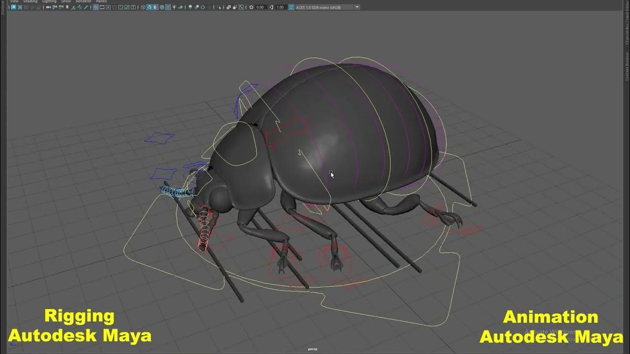 Ladybug Animating Advanced Character Rigging in Autodesk Maya - YouTube