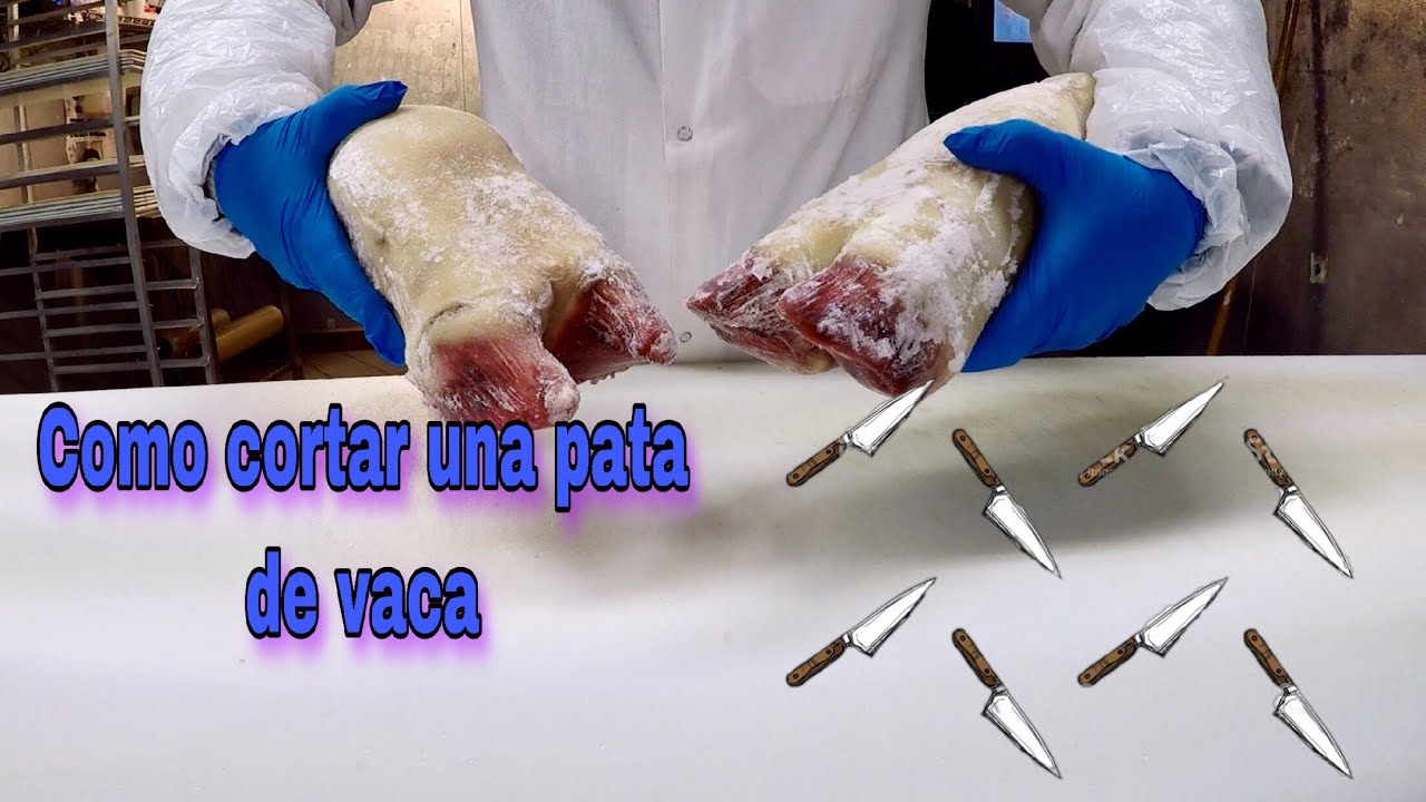 Cortes de carne “ como cortar una pata de vaca | los mejores cortes de ...