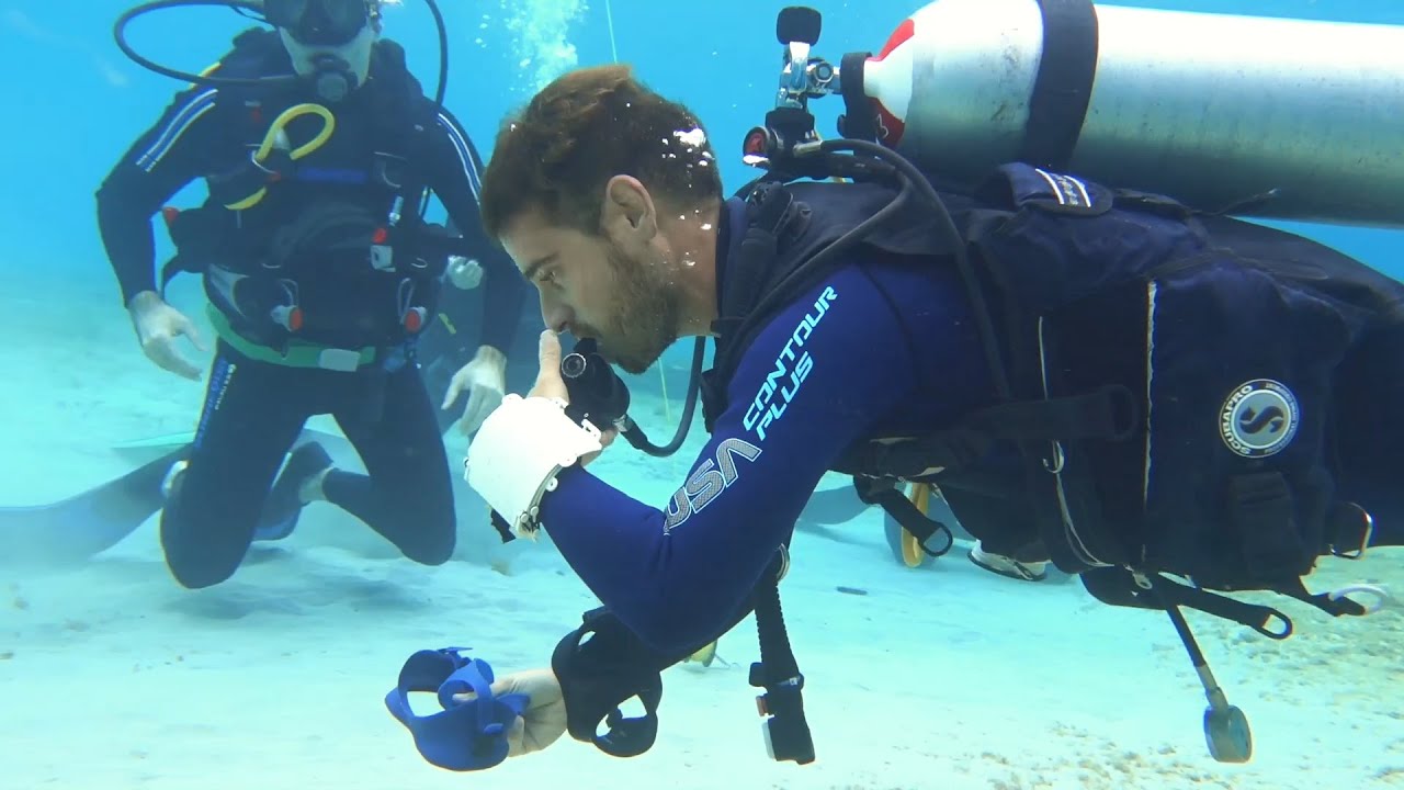 Intro to Scuba Diving with Deep Exposure Cozumel, Mexico - YouTube