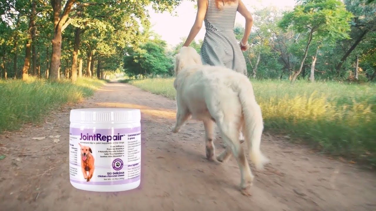 Joint Repair Chews: Advanced Hip & Joint Supplement For Dogs - YouTube