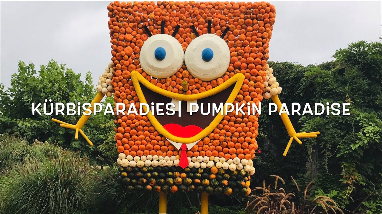 Kürbisparadies Bauer Lipp | Pumpkin paradise near Frankfurt ! - YouTube