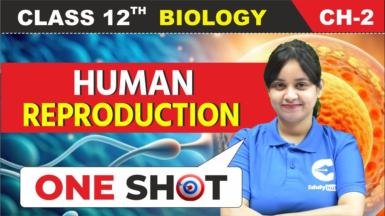 Human Reproduction Chapter 2 | Class 12 Biology | Full Chapter in ONE ...