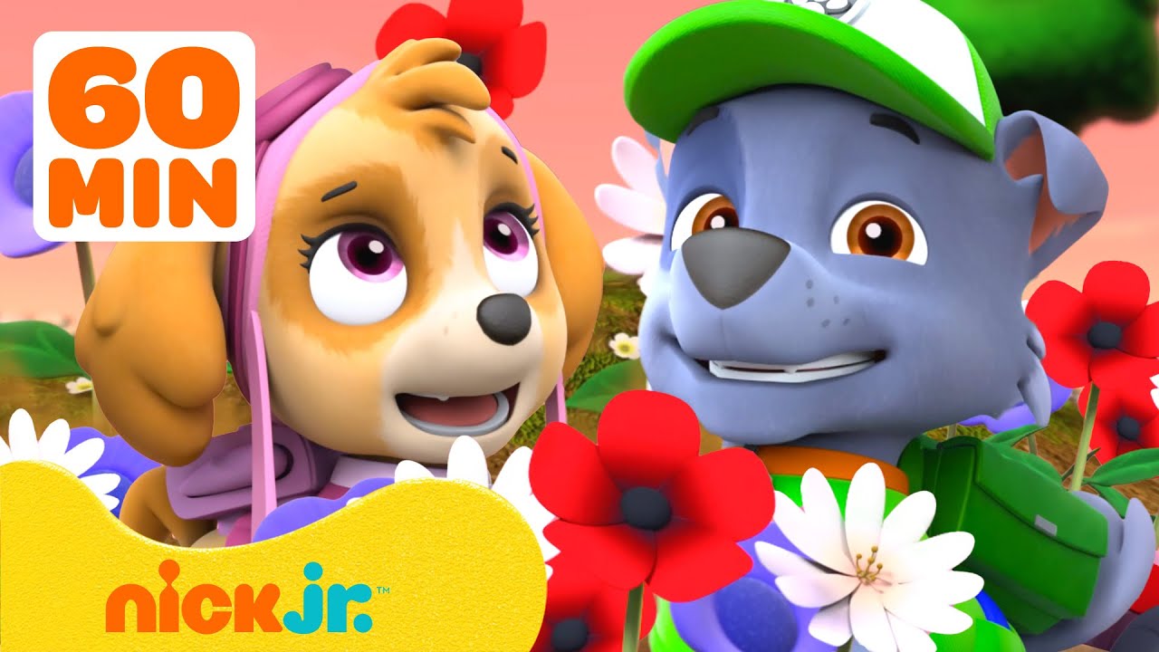 Paw Patrol | ¡Los Cachorros de PAW Patrol Cultivan Plantas y Flores! Con Rocky y Skye - YouTube