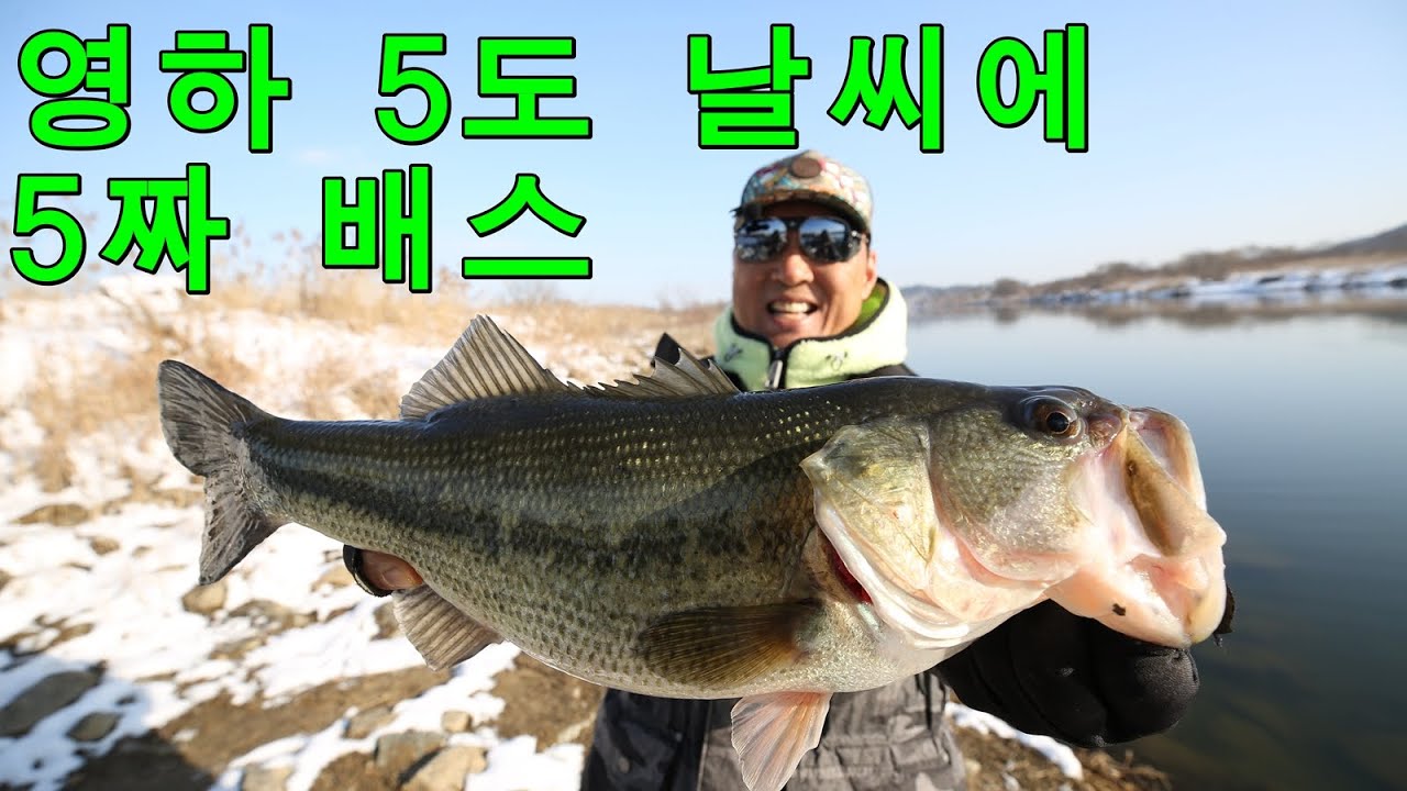 영하 5도 날씨에 5짜 배스[최영교 프로 광주 서창교] - YouTube