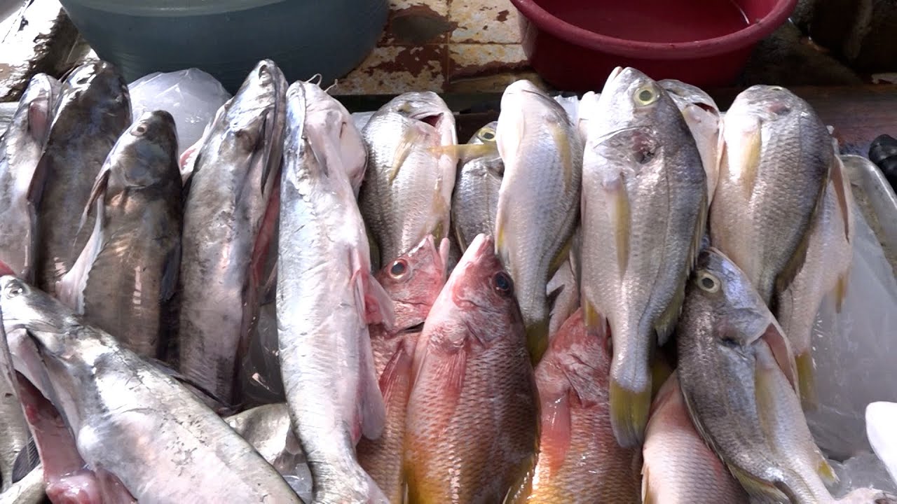 Productos del mar y perecederos mantienen precios accesibles para la ...