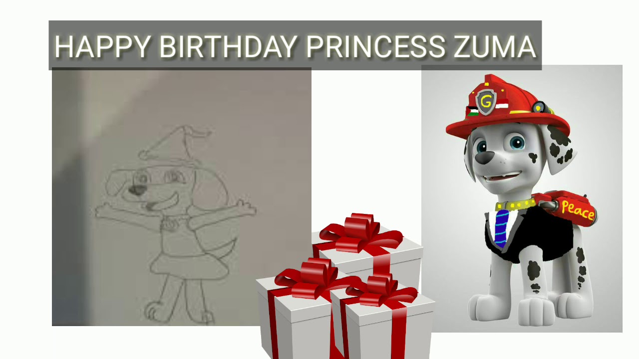 HAPPY BIRTHDAY TO PRINCESS ZUMA - YouTube