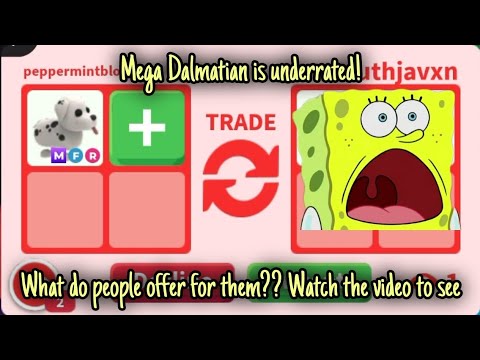 Mega Dalmatian is underrated🤔 What do people offer for them🤩 Watch the ...