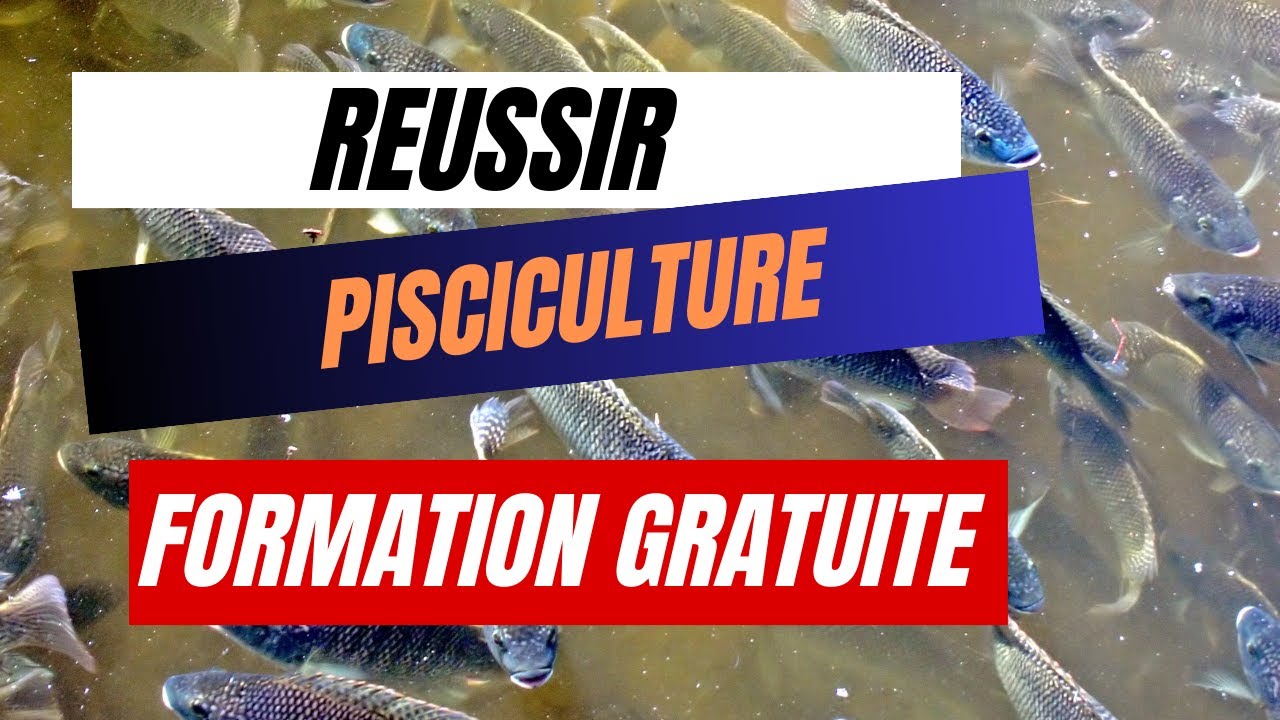 FORMATION GRATUITE SUR LA PISCICULTURE DANS LES ETANGS - YouTube