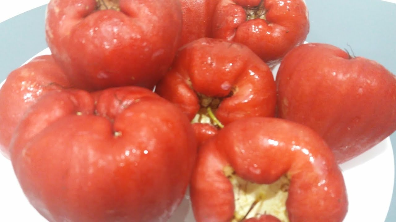 Macopa fruits||my own version salad😊 - YouTube