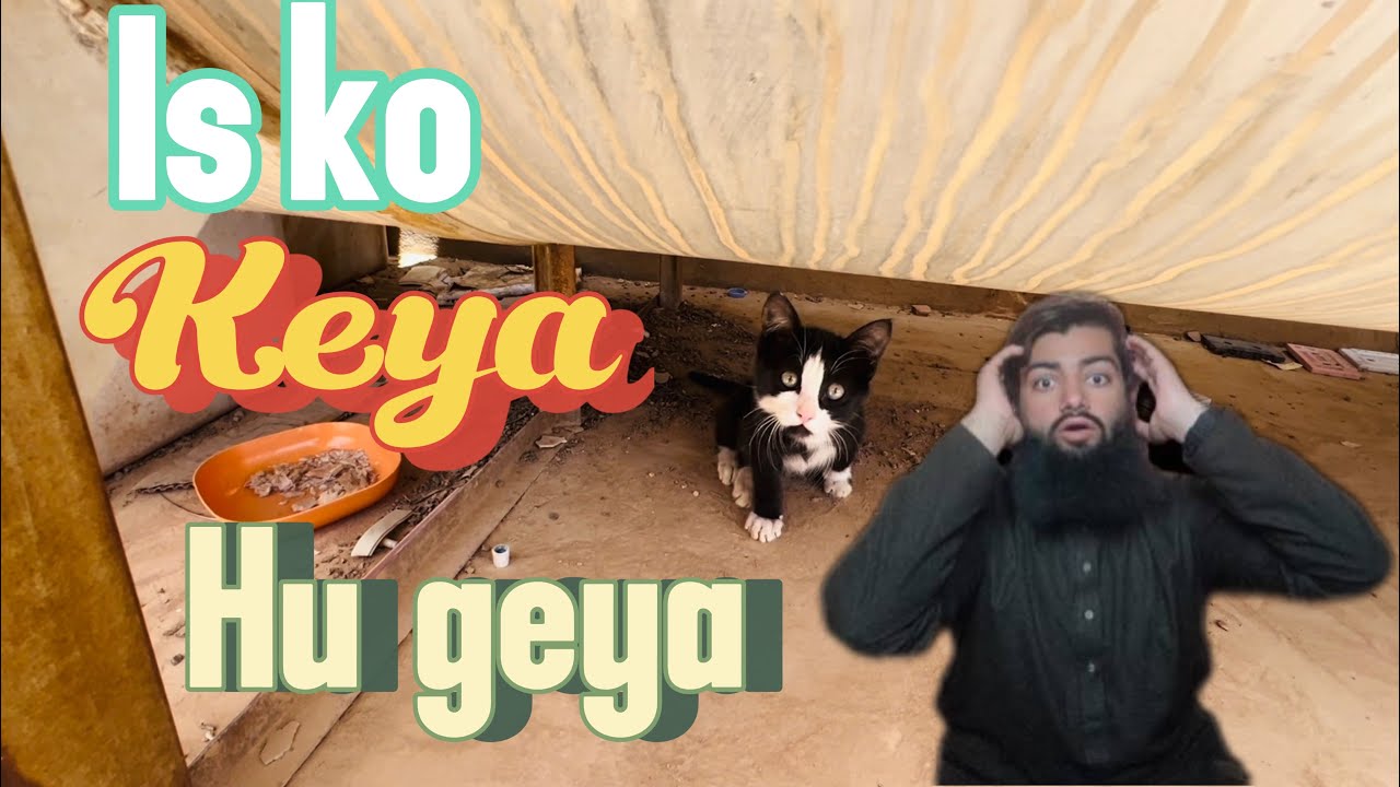 Ye Meri cat ko keya hu geya |Secret Mission - YouTube