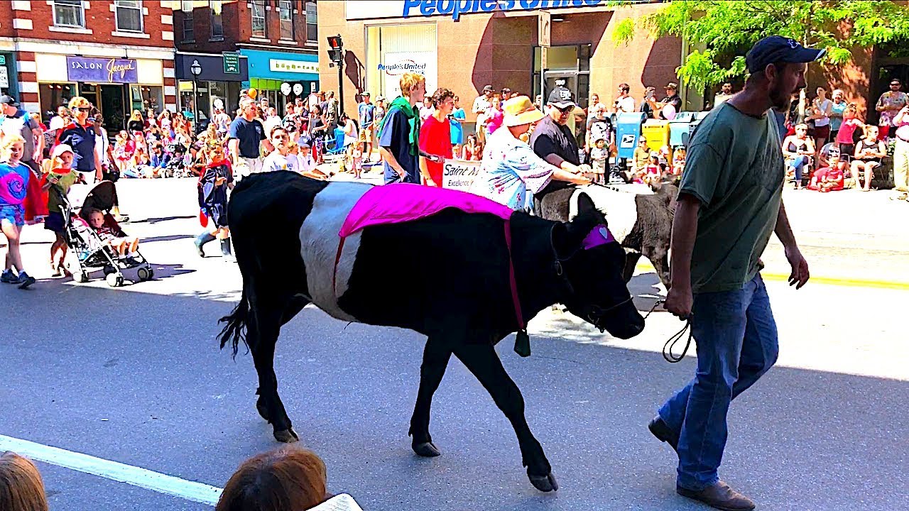 Cow Parade! Strolling of the Heifers 2019, Brattleboro, Vermont ...
