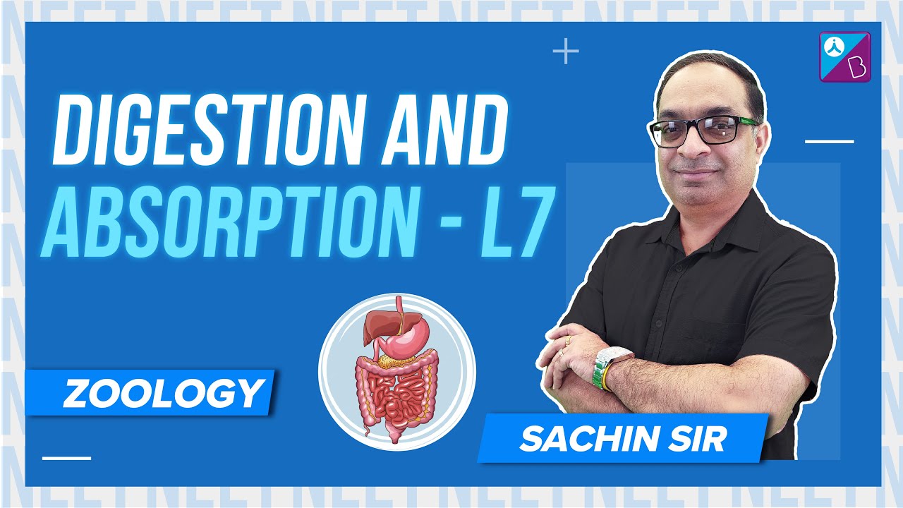 Digestion of Fats and Nucleic Acid - Digestion & Absorption Class 11 ...