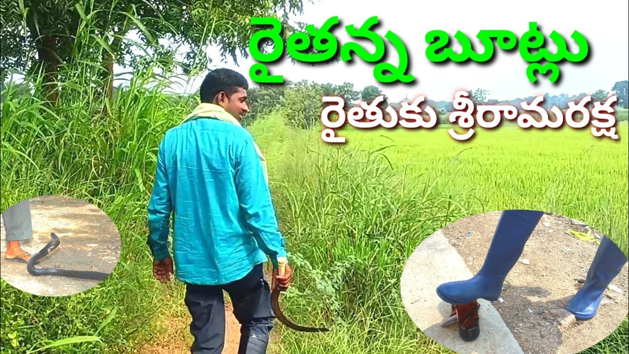రైతు బూట్లు ,farmer safety shoes, paddy shoes#agriculture information ...