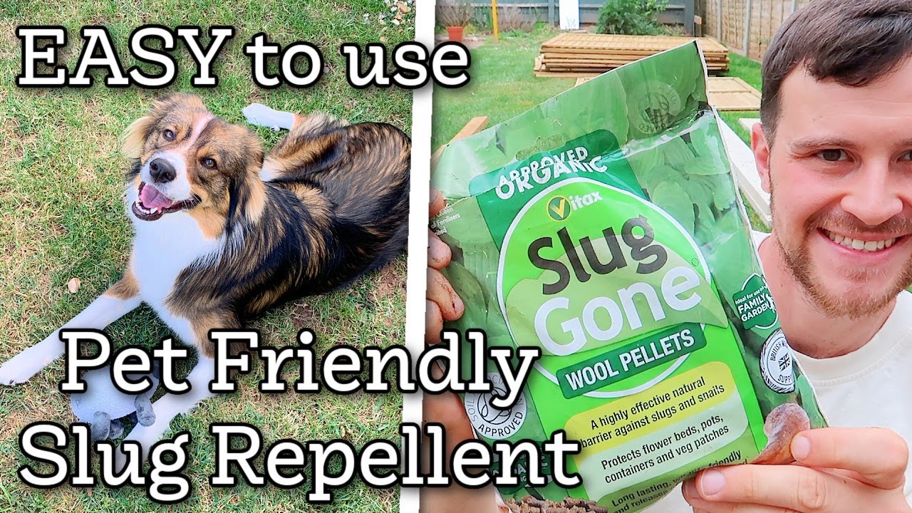 Benefits of using DOG FRIENDLY slug repellent for your garden.. Pros ...