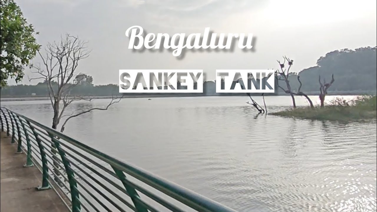 🖼️ Sankey Tank | Bengaluru s picturesque man-made lake🦢#mqtravel # ...