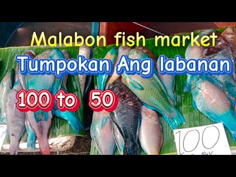 Grabe mura Ng mga isda sa Malabon Fish Market tumpok 50 at 100 sari ...