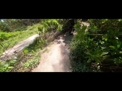 Key Biscayne intermediate trail - YouTube