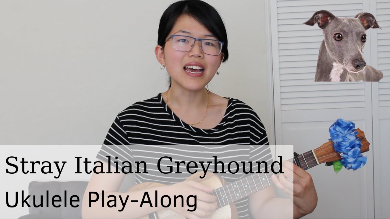 Vienna teng stray italian greyhound lyrics - plazaqery