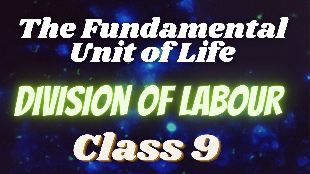 Biology Division Of Labour Class 9 The Fundamental Unit Of Life Biology Division Of Labour Class 9 The Fundamental Unit Of Life