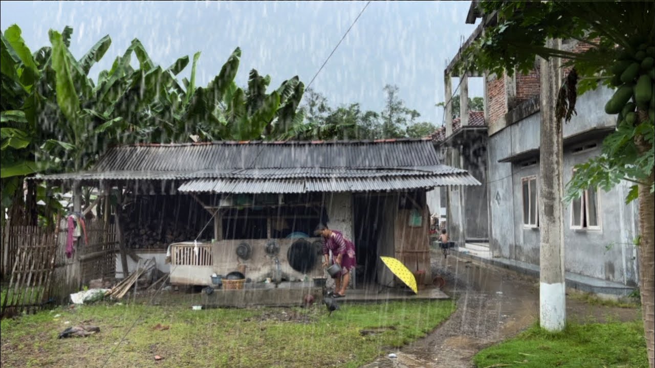 Heavy rainfall in beautiful and green village||very strong and wet ...