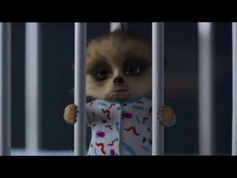 Tippy's FavorADs... 2 Dads...1 Meerkat Baby Oleg...