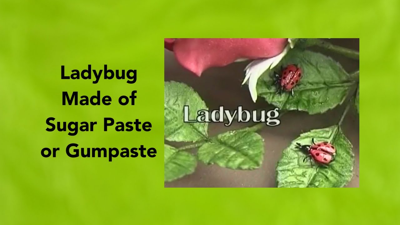 Adorable Ladybug in Sugar Paste for the Cake & Sugar Artist - YouTube