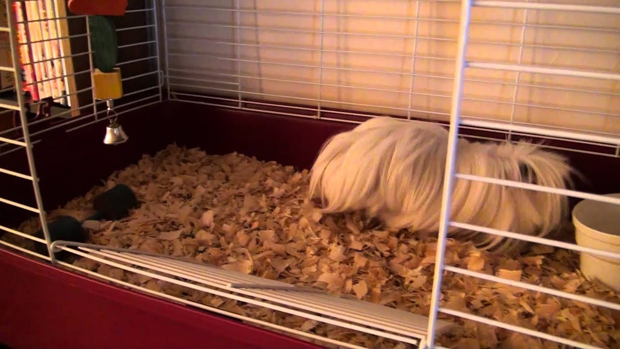 Sony HDR-CX350 HD Camcorder Test (FX Mode) - YouTube